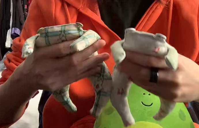 Hobart and Serena | Doot Wiki | Fandom