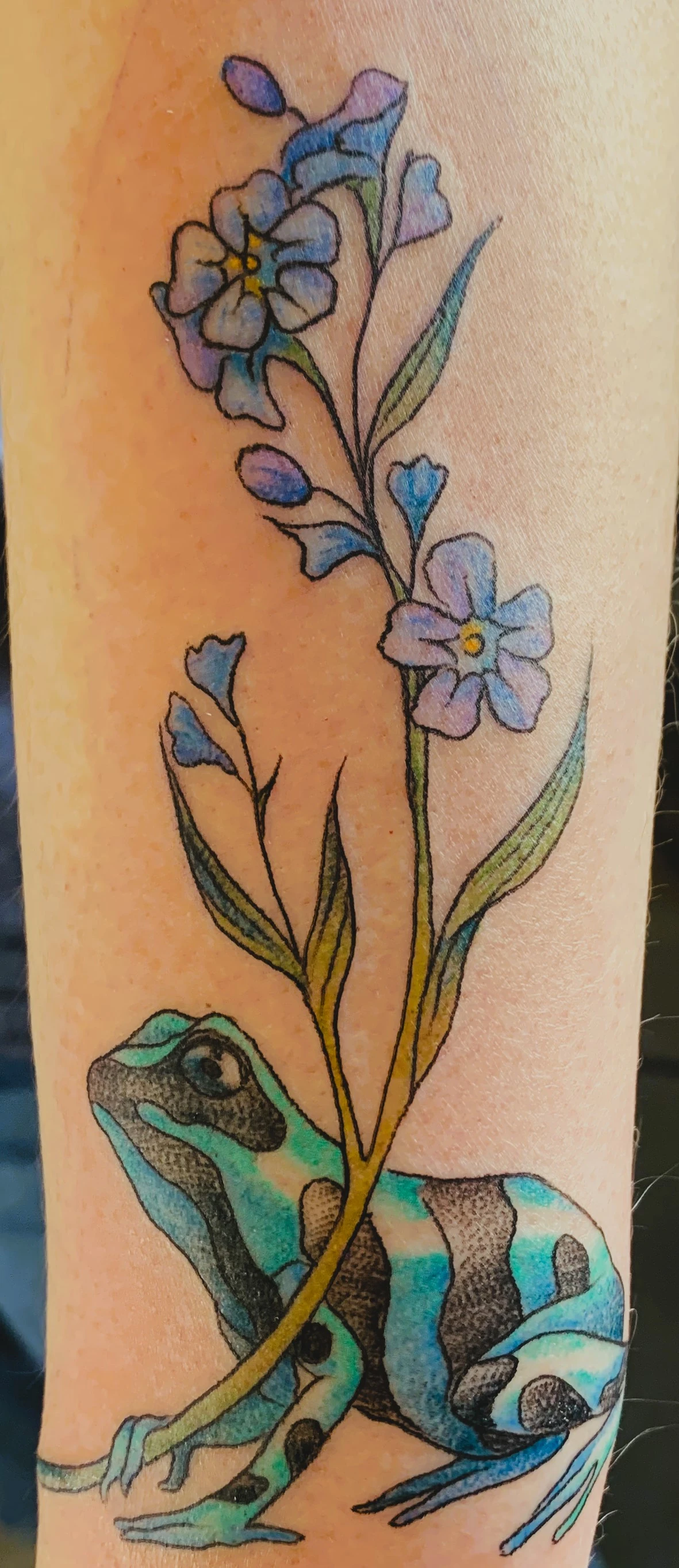 Giuseppe Forg | Doot Wiki | Fandom