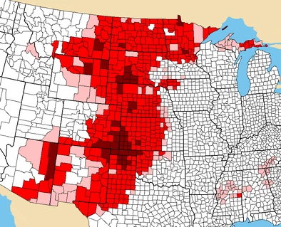 American Famine | Doppelreich Wiki | Fandom