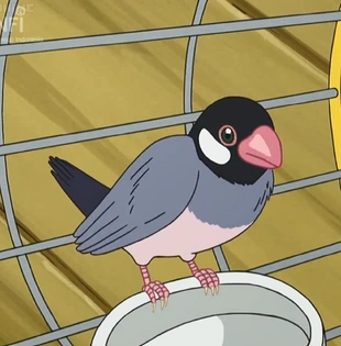 Peeko | Wiki Doraemon Wiki Hispana | Fandom