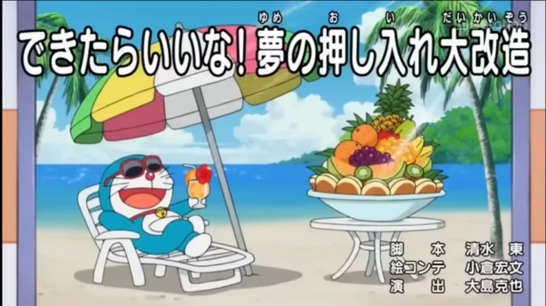 It's Great to be Able to Complete It! Dream Closet Renovation ...