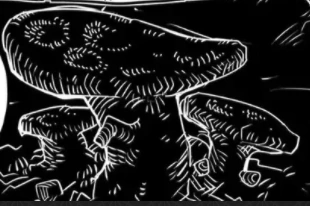 Monster Shroom | DoraTama Wiki | Fandom