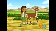 Coyotes | Dora the Explorer Wiki | Fandom