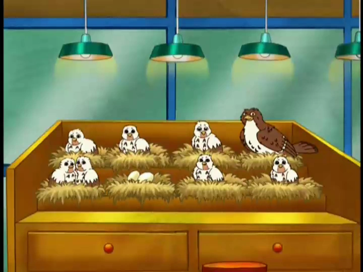 Bird Rescue Center | Dora the Explorer Wiki | Fandom