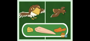 Jorge the Little Hawk Learns to Migrate!/Gallery | Dora the Explorer ...