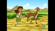 Coyotes | Dora the Explorer Wiki | Fandom