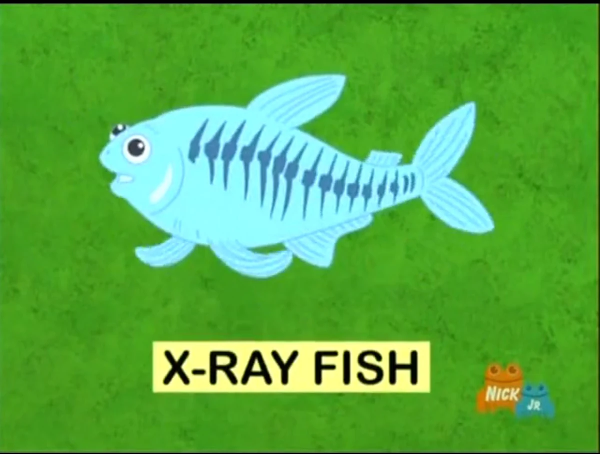 X-Ray Fish | Dora the Explorer Wiki | Fandom