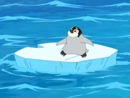 Pepito's Penguin School/Gallery | Dora the Explorer Wiki | Fandom