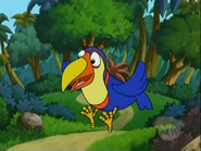Señor Tucán | Dora the Explorer Wiki | Fandom