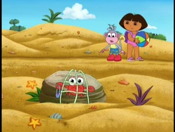 Dora Baby Crab