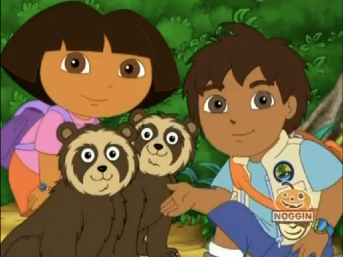 Go Diego Go Field Journal