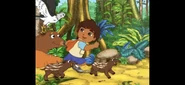 Go, Diego, Go! Opening Sequences | Dora the Explorer Wiki | Fandom