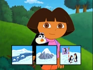 Picture Pop-Up Sequence | Dora the Explorer Wiki | Fandom