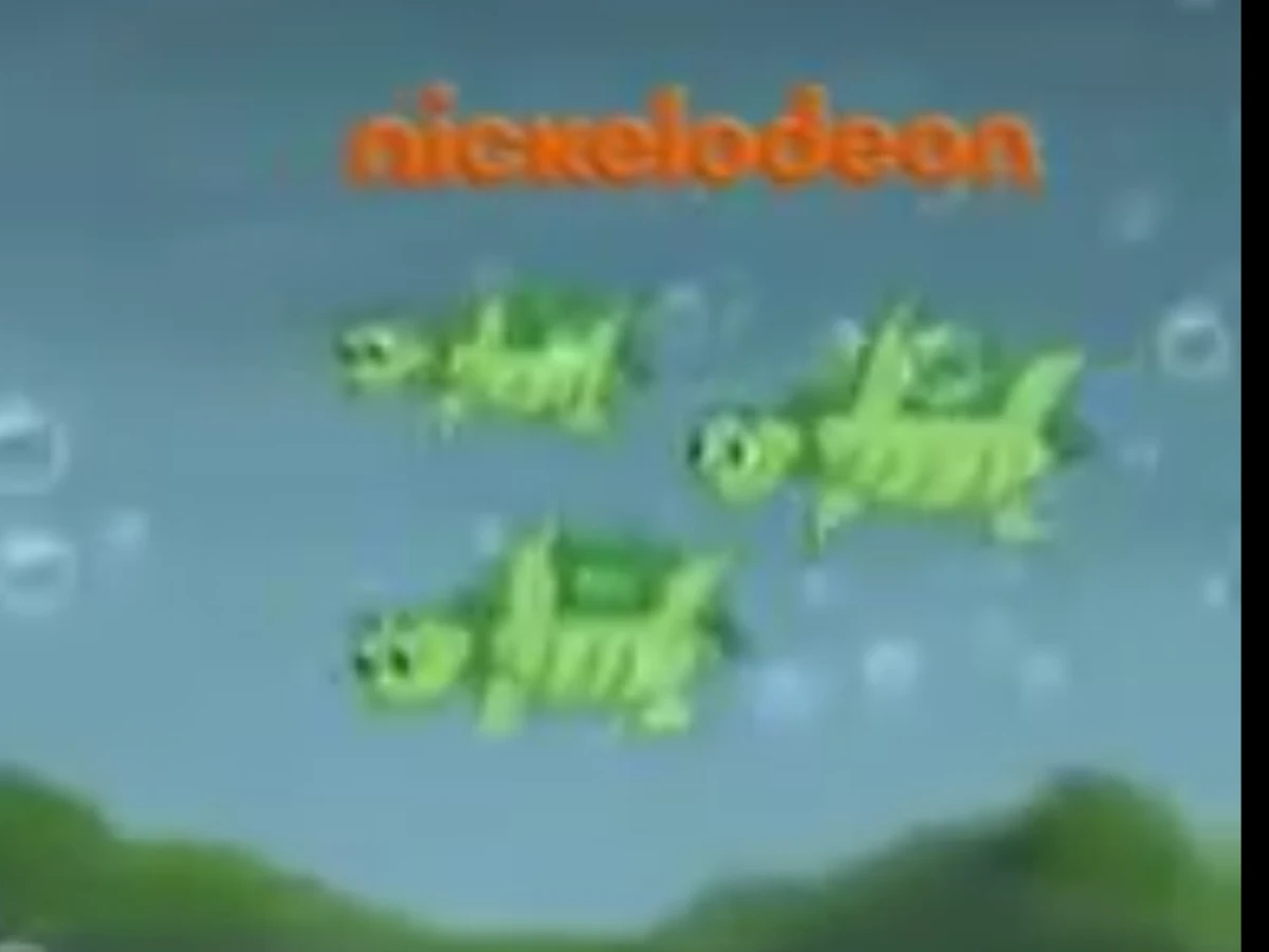 Sea turtle | Dora the Explorer Wiki | Fandom