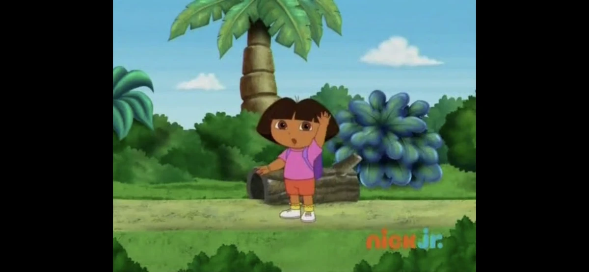 Baby Winky Comes Home/Gallery | Dora the Explorer Wiki | Fandom