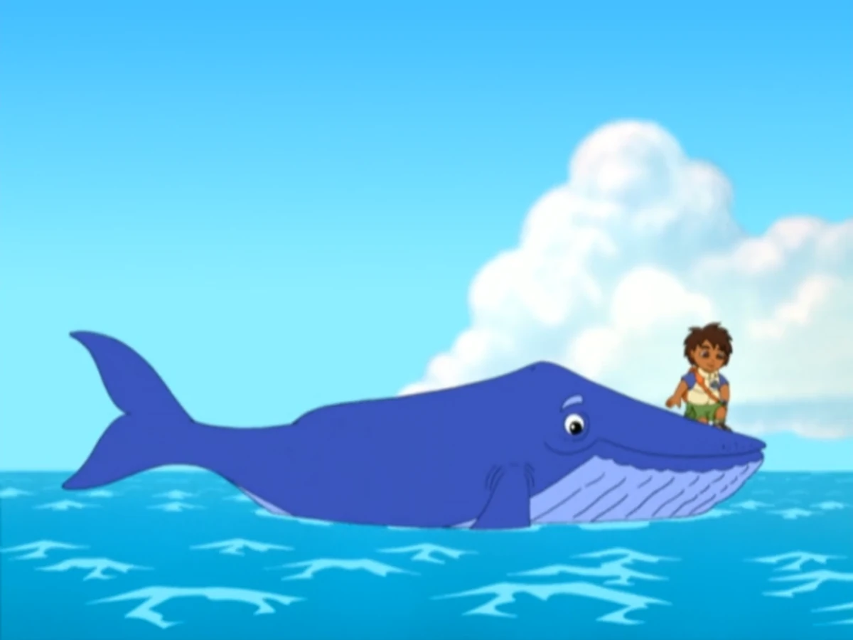 Whale (Dora and Diego to the Rescue!) | Dora the Explorer Wiki | Fandom