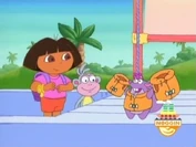 Sticky Tape | Dora the Explorer Wiki | Fandom