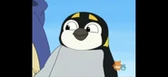 Pepito's Penguin School/Gallery | Dora the Explorer Wiki | Fandom