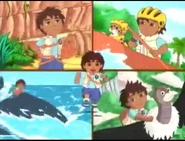 Go, Diego, Go! Opening Sequences | Dora the Explorer Wiki | Fandom