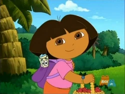 Dora The Explorer Best Friends