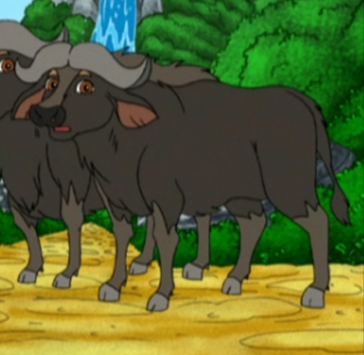 Buffalos | Dora the Explorer Wiki | Fandom