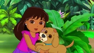 Perrito | Dora the Explorer Wiki | Fandom
