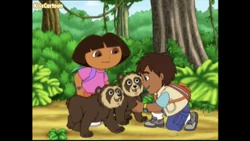 go diego go image gallery