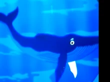 Humpback whale | Dora the Explorer Wiki | Fandom