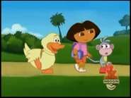 Daisy, La Quinceañera/Gallery | Dora the Explorer Wiki | Fandom