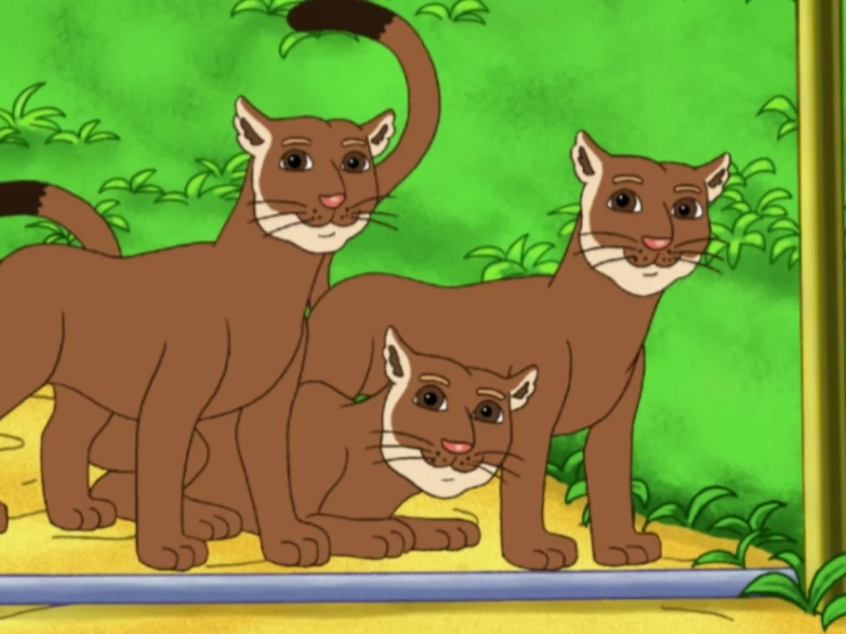 Go Diego Go Rainforest Race