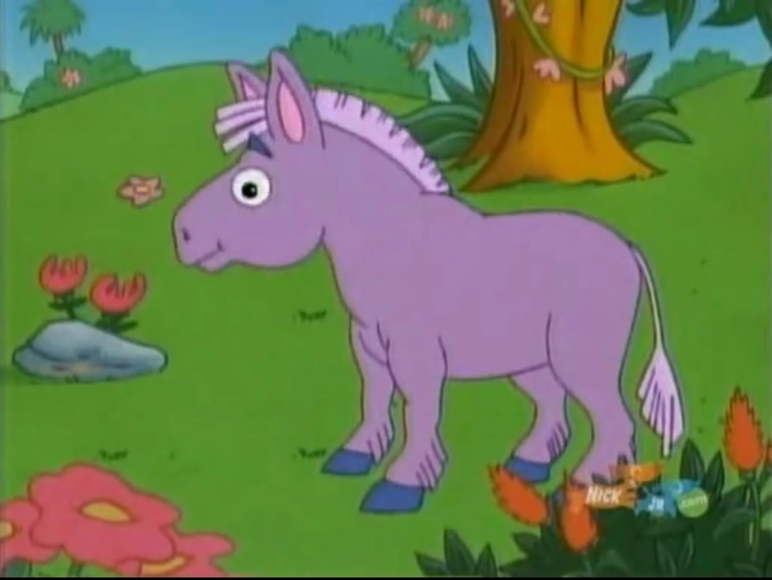 Señor Burro | Dora the Explorer Wiki | Fandom