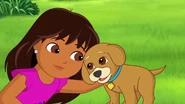 Perrito | Dora the Explorer Wiki | Fandom