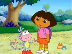 Rapid O 202 Tico Dora