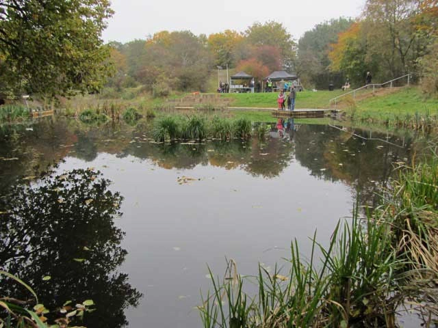 Froggy Pond | Dora the Explorer Wiki | Fandom