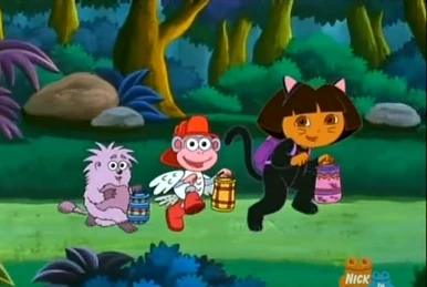 Explorer The Te Dora Amovhs