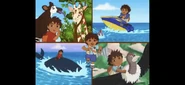 Go, Diego, Go! Opening Sequences | Dora the Explorer Wiki | Fandom