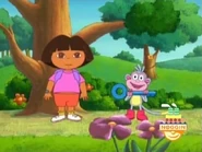 Treasure Island/Gallery | Dora the Explorer Wiki | Fandom