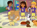Category:Soccer Episodes | Dora the Explorer Wiki | Fandom