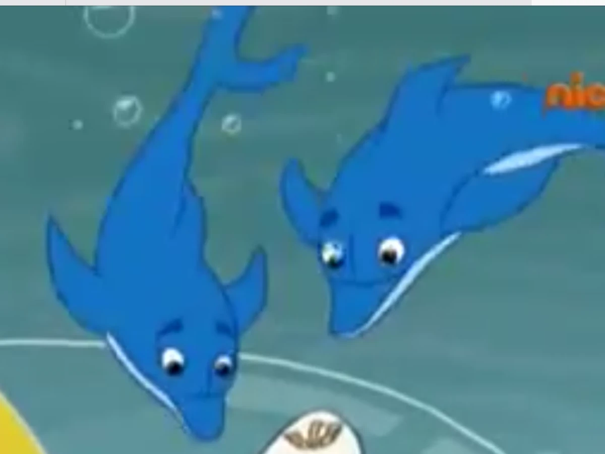 Dolphin | Dora the Explorer Wiki | Fandom