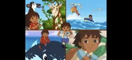 Go, Diego, Go! Opening Sequences | Dora the Explorer Wiki | Fandom