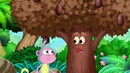 Chocolate Tree | Dora the Explorer Wiki | Fandom