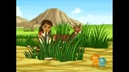 Coyotes | Dora the Explorer Wiki | Fandom