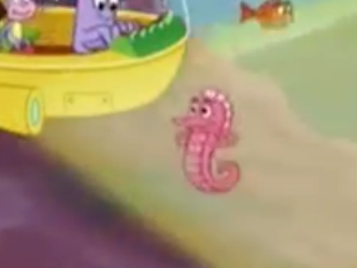 Seahorse | Dora the Explorer Wiki | Fandom