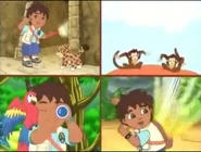 Go, Diego, Go! Opening Sequences | Dora the Explorer Wiki | Fandom