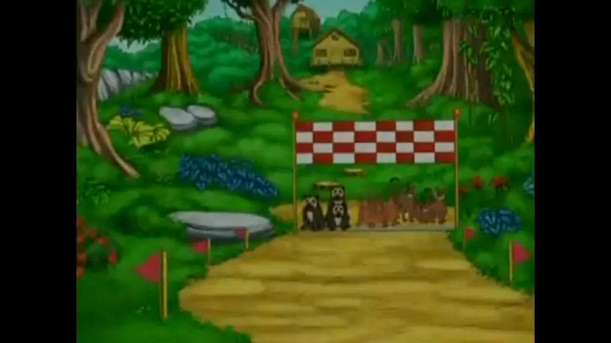 Go Diego Go Rainforest Race