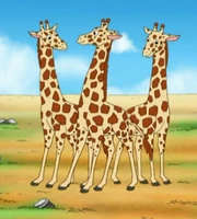 Giraffes | Dora the Explorer Wiki | Fandom