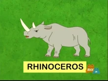 Rhinoceros | Dora the Explorer Wiki | Fandom