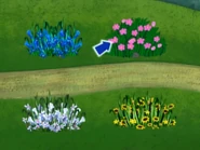 Hide and Go Seek/Gallery | Dora the Explorer Wiki | Fandom