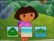 Picture Pop-Up Sequence | Dora the Explorer Wiki | Fandom