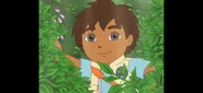 Go, Diego, Go! Opening Sequences | Dora the Explorer Wiki | Fandom